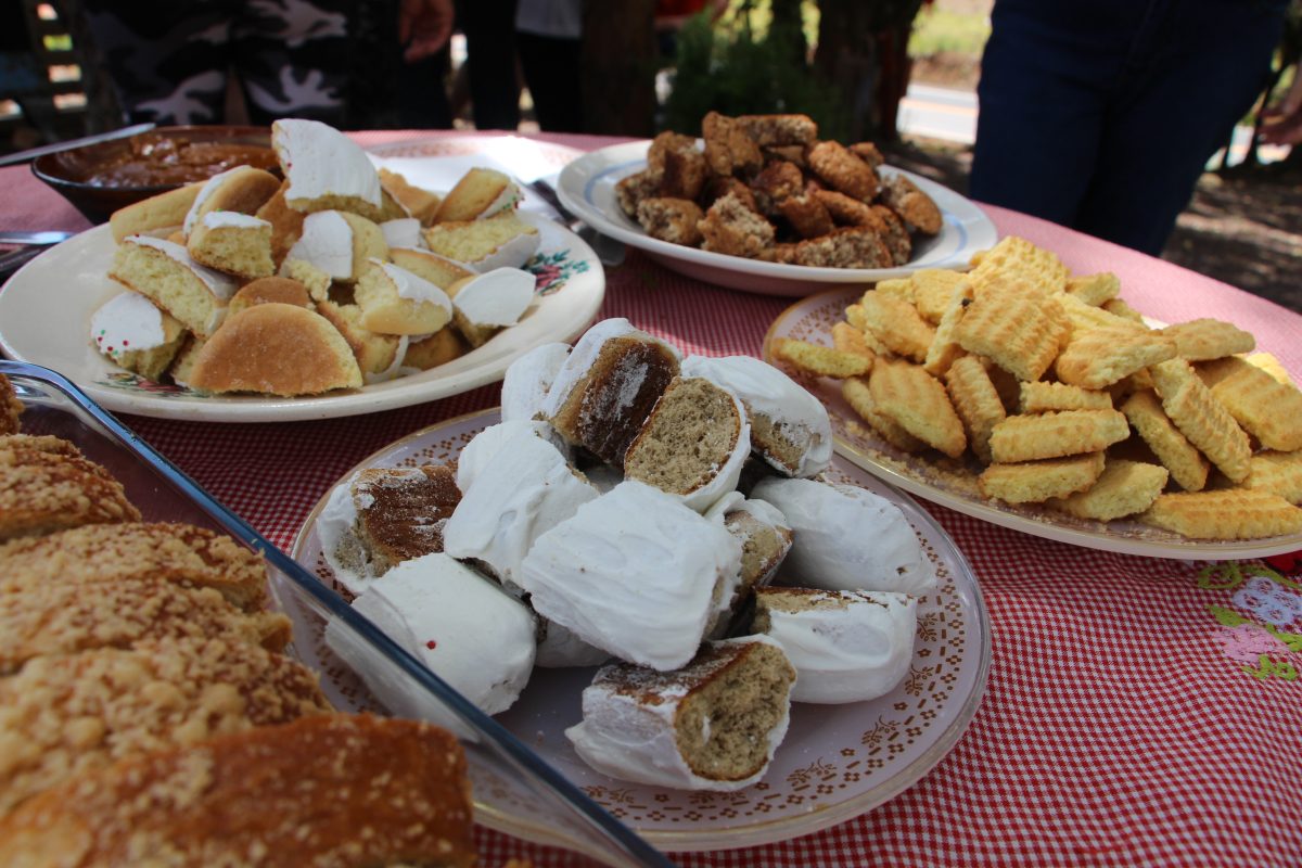 Agroindústria Familiar Kollet - Curta A Viagem